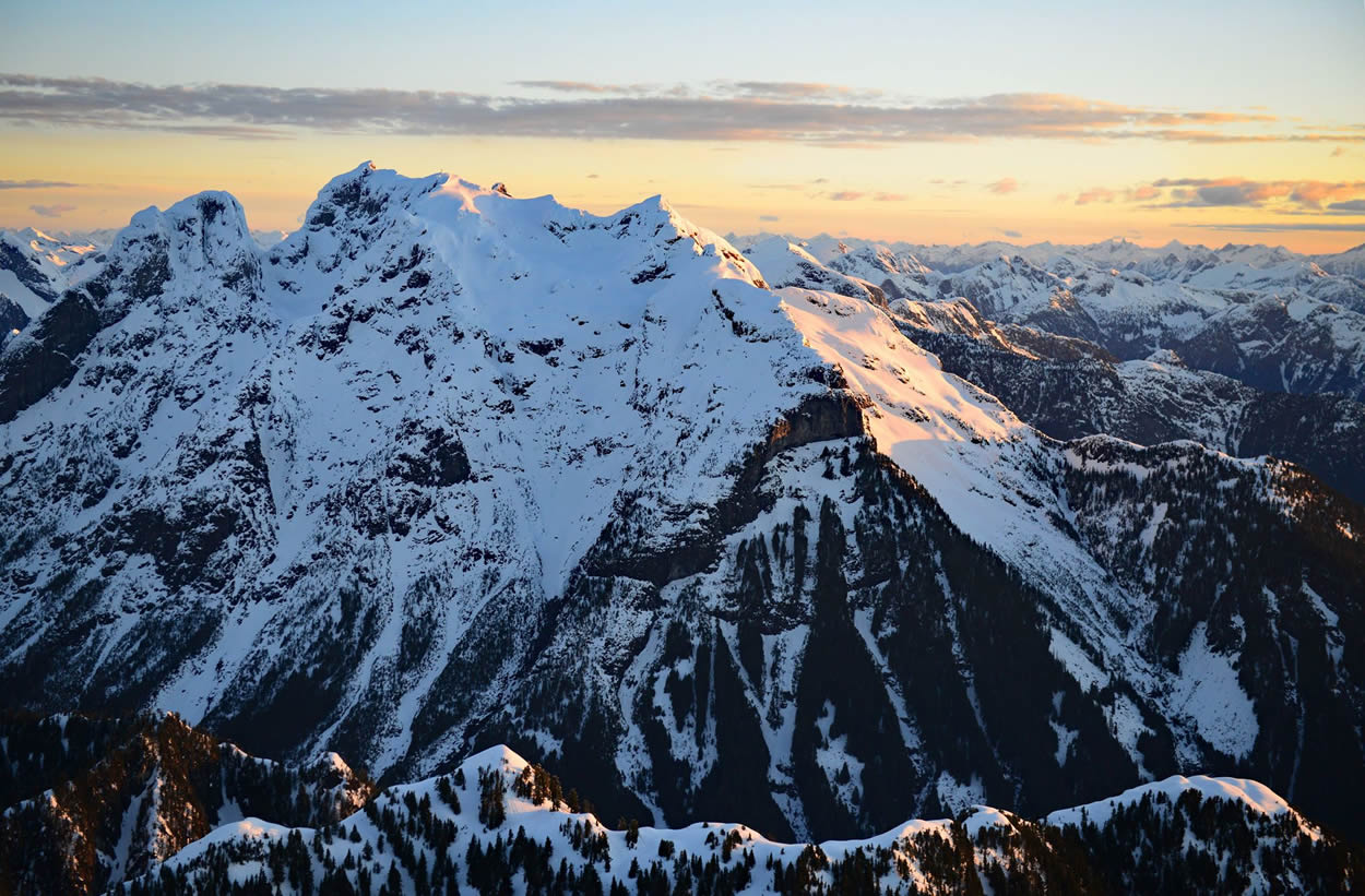 Robie Reid Tour Photo Gallery