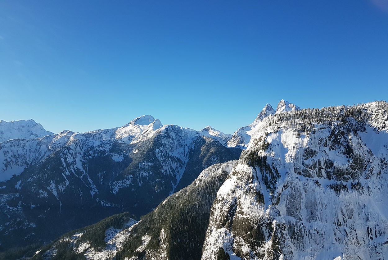 Robie Reid Tour Photo Gallery